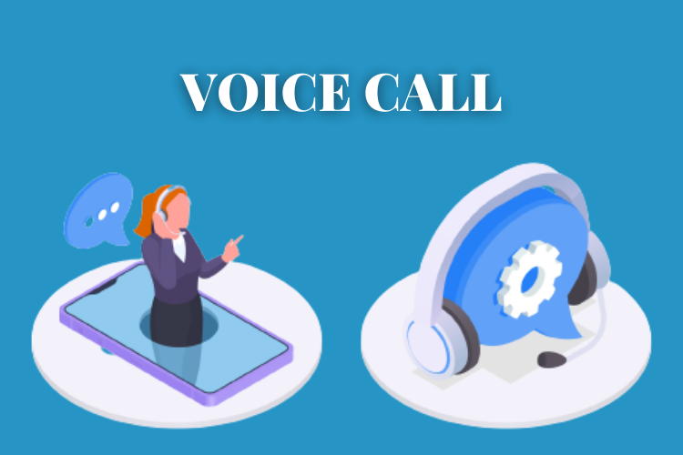 What are Voice Calls?